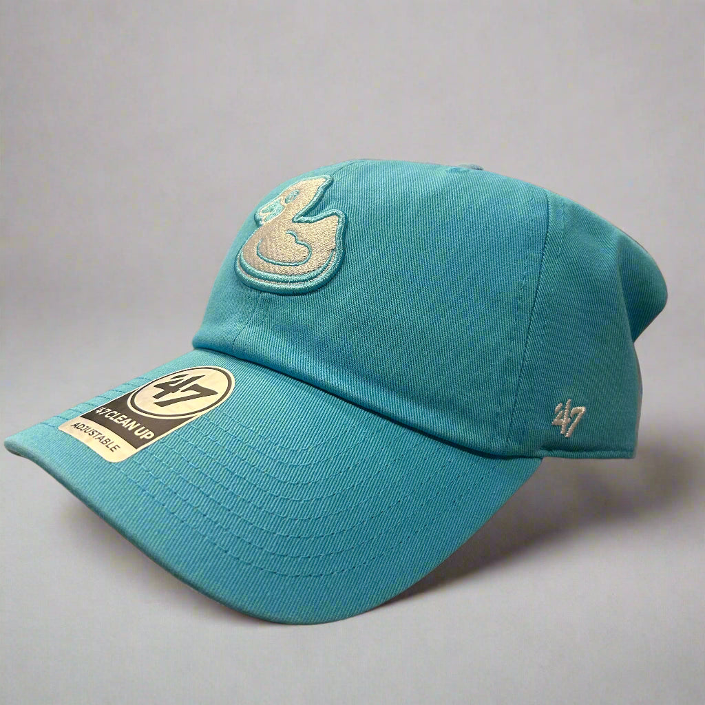 Ducky Bright Side Clean Up – Akron RubberDucks